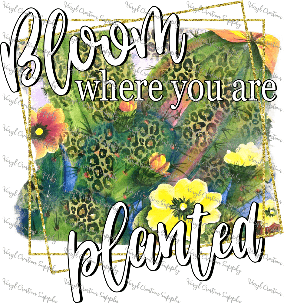 Bloom – Vinyl Creation Supply